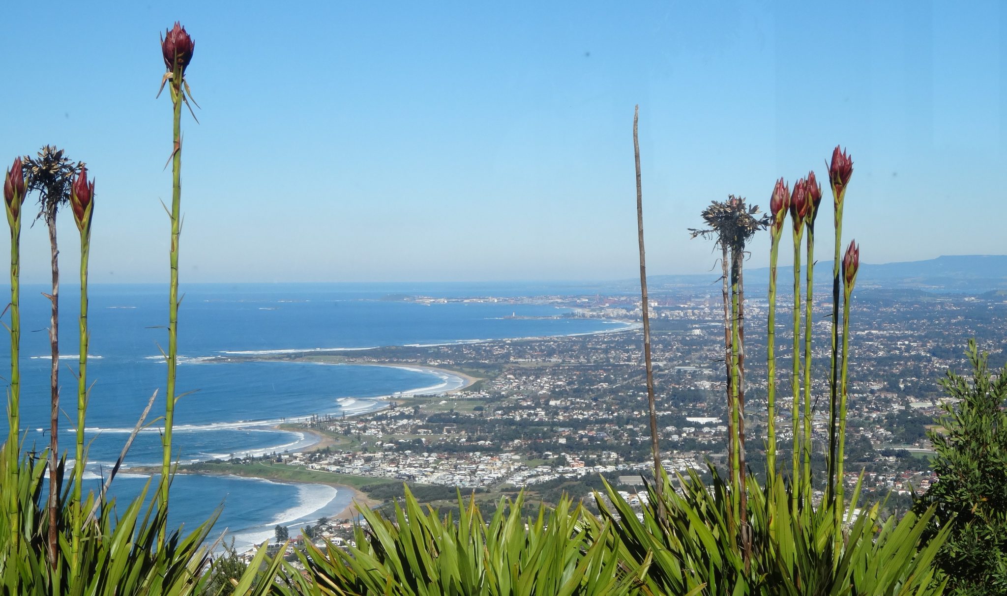 Wollongong’s Best Scenic Lookouts – Destination Wollongong